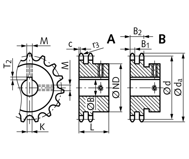 Double-strand sprocket ZRF with hub 08 B-2 20 teeth material steel bore 30H7 keyway DIN 6885/1 2 ...